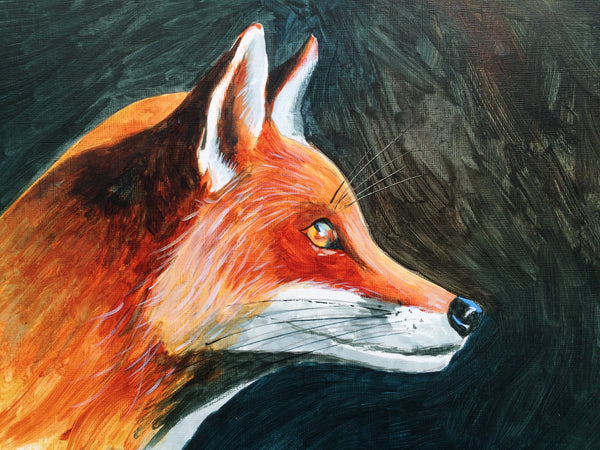 Red Fox – Glyn Macey Studio